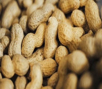 Java Peanuts | Nuts Of India